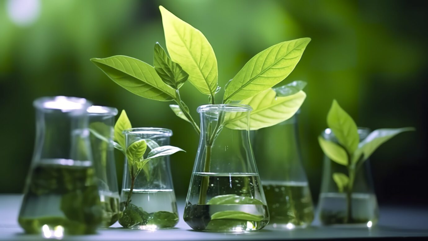 The Principles of Green Chemistry - Third Principle: Less Hazardous ...