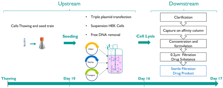 Case Study: Evaluation of Several Process Cell Lysis Reagents as ...